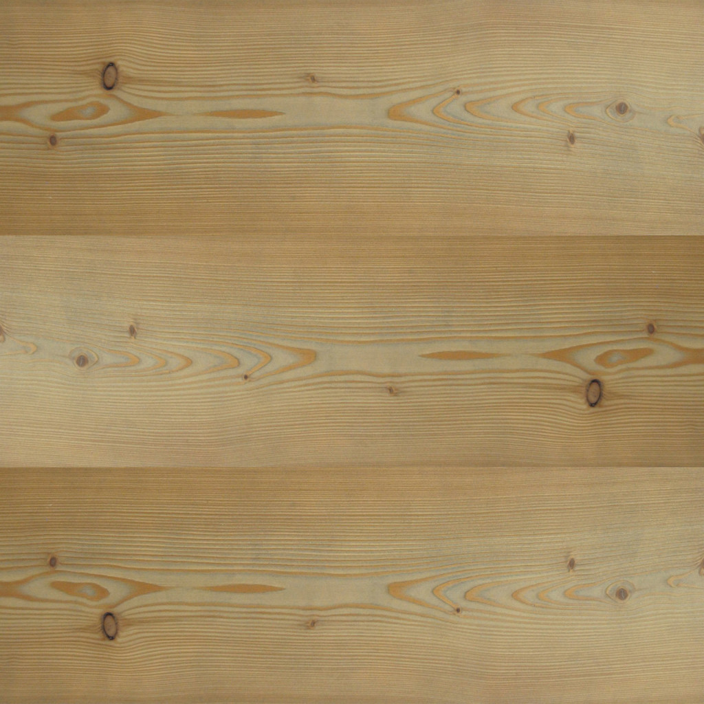 61 LARICE SABBIA - Iniziativa Legno Padova